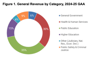 The 2024-25 Texas Budget: The Big Picture - Every Texan