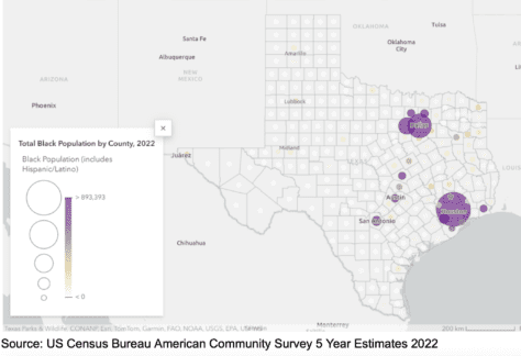 Black History Is Texas History - Every Texan