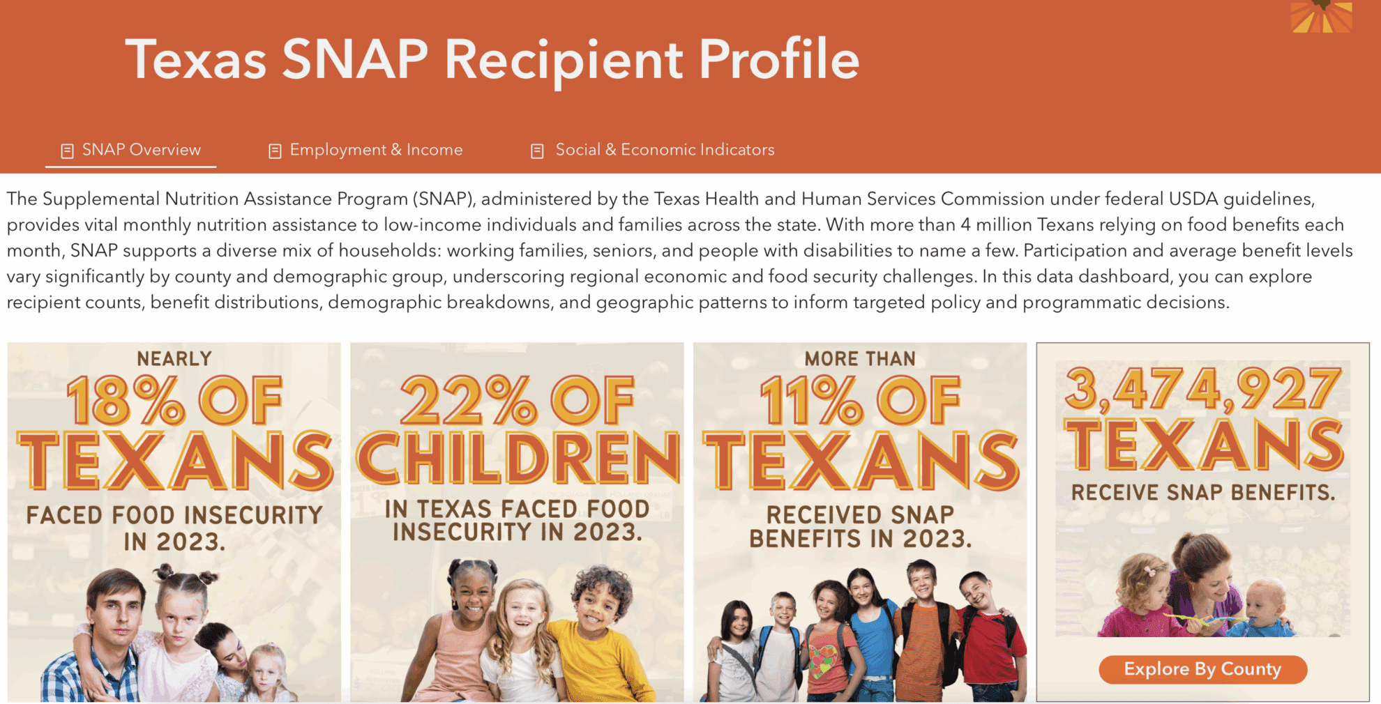Data Brief: 2025 Texas SNAP Recipient Profile - Every Texan