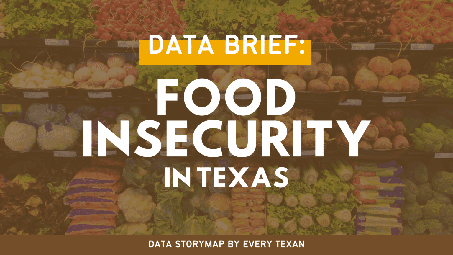 Data Brief: Food Insecurity in Texas - Every Texan