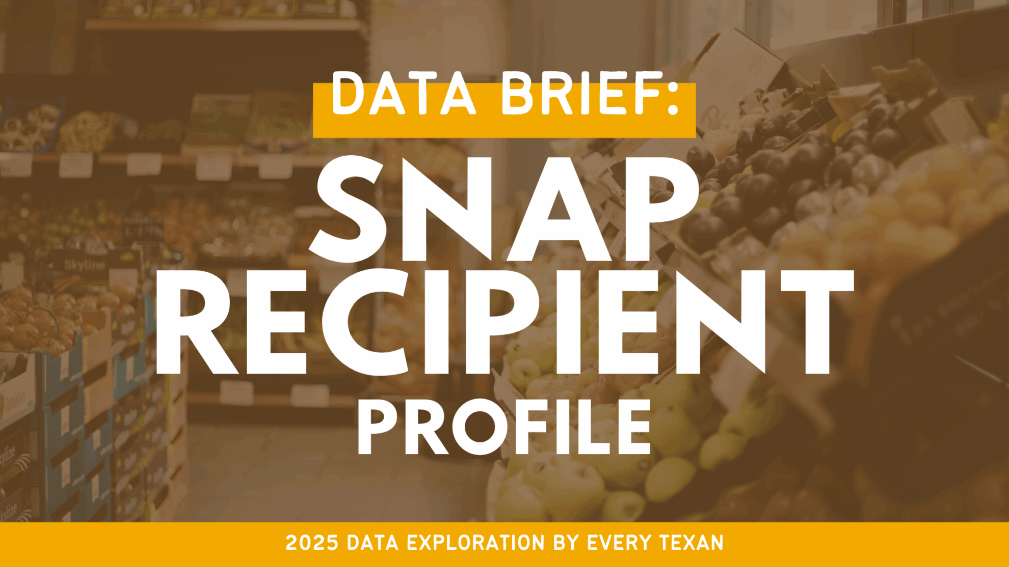 Data Brief: 2025 Texas SNAP Recipient Profile - Every Texan