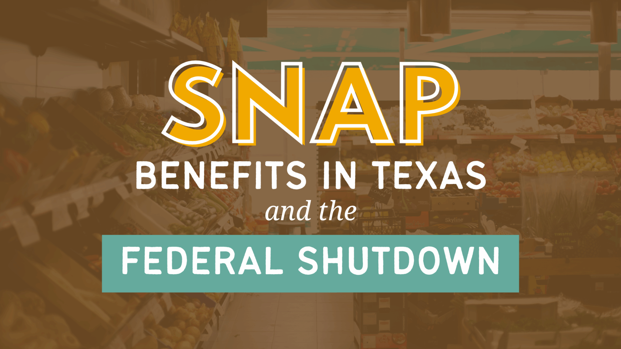 Supplemental Nutrition Assistance Program (SNAP) - Every Texan